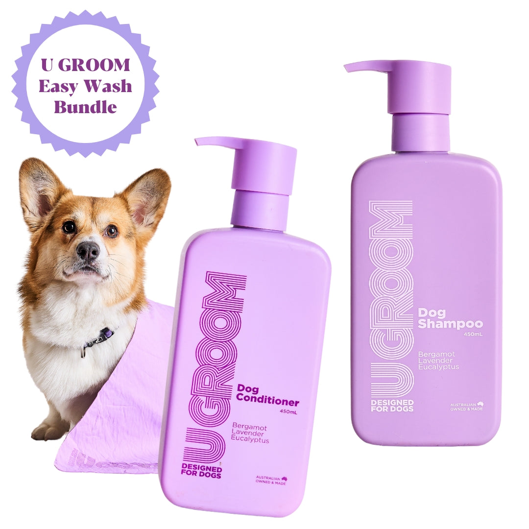 The Importance of Combing and Brushing: A Groomer's Perspective – U GROOM